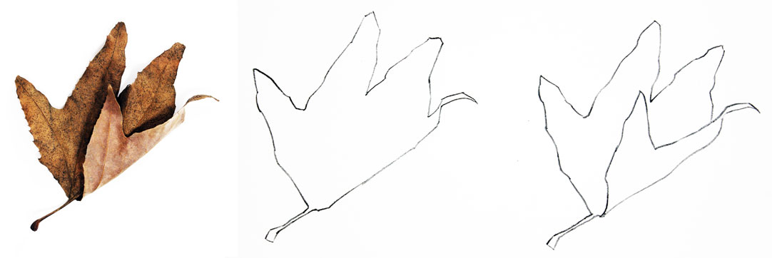 Contour Line Drawing